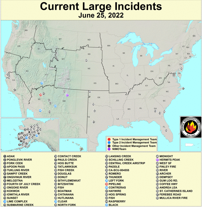 Active Fire Mapping Program